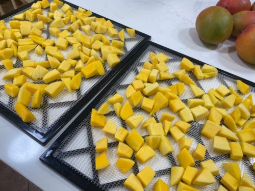 How To Dehydrate Mango - Food Storage Moms