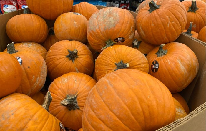 How Do You Choose The Perfect Pumpkin how-do-you-choose-the-perfect-pumpkin