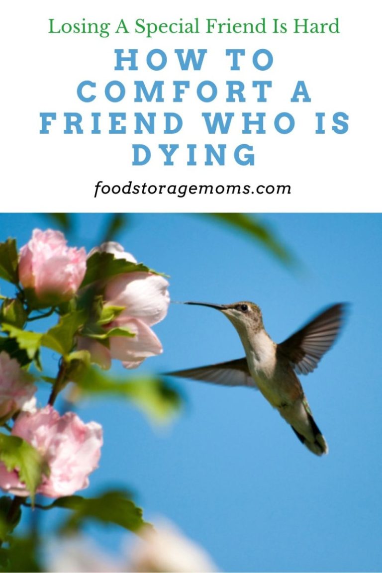 How To Comfort A Friend Who Is Dying - Food Storage Moms