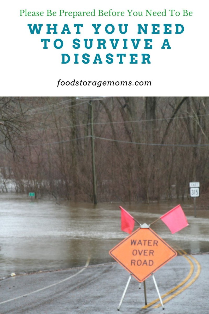 What You Need To Survive A Disaster - Food Storage Moms