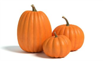 How To Choose The Right Pumpkin For Your Family - Food Storage Moms