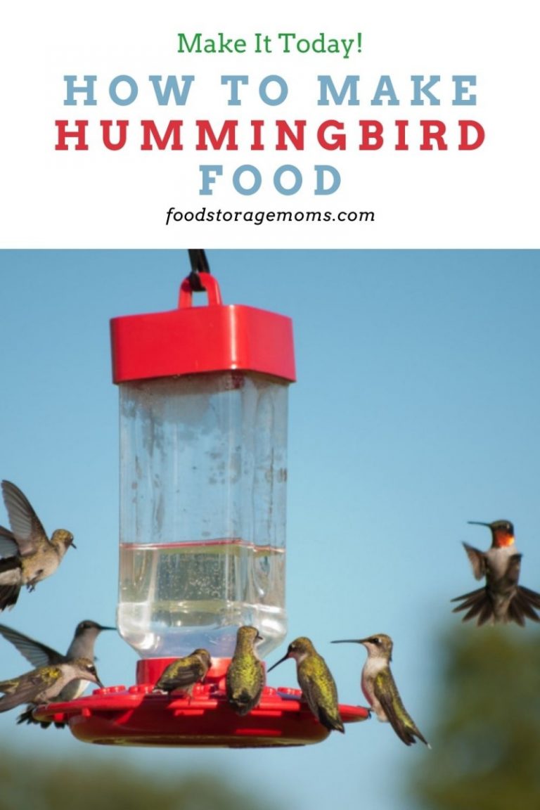 How To Make Hummingbird Food - Food Storage Moms