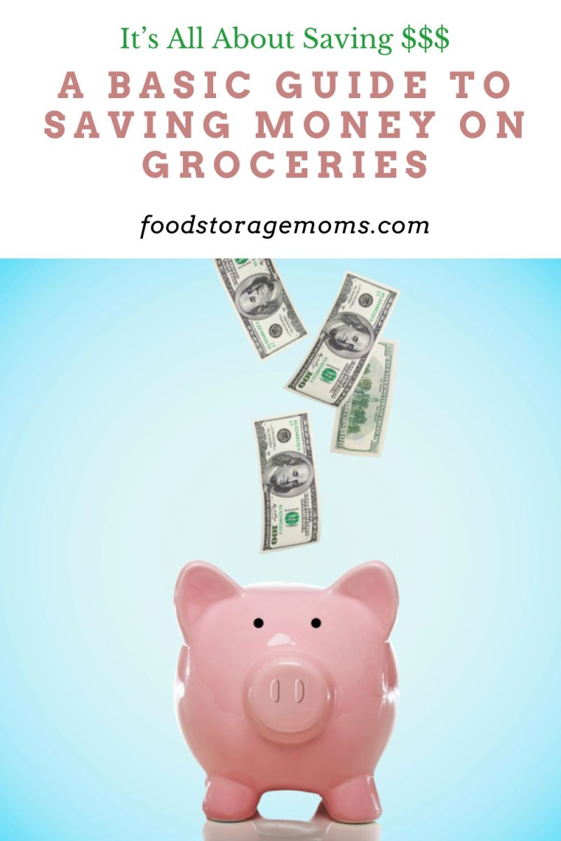 Daily Survival: A Basic Guide to Saving Money on Groceries