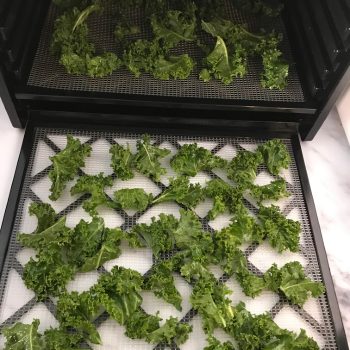 How To Dehydrate Kale and Make Kale Chips - Food Storage Moms