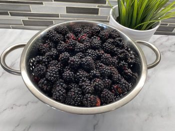 How To Dehydrate Blackberries & Make Blackberry Powder - Food Storage Moms