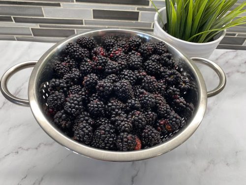 How To Dehydrate Blackberries & Make Blackberry Powder - Food Storage Moms