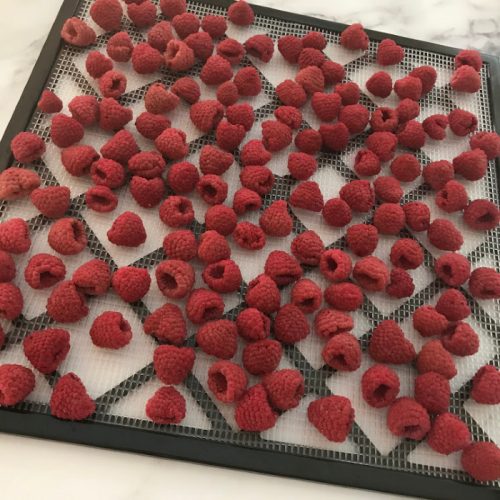 Dehydrating Raspberries and Make Raspberry Powder - Food Storage Moms