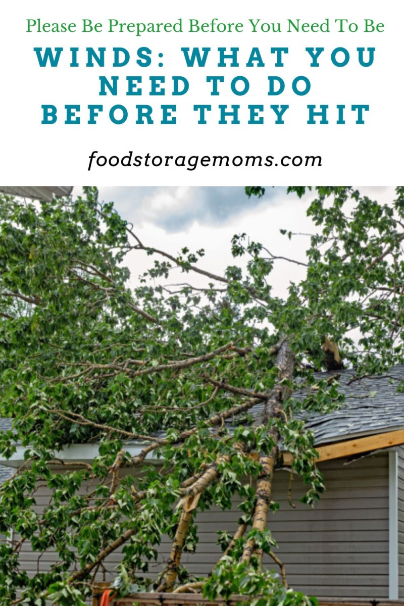 Daily Survival: Winds: What You Need To Do Before They Hit