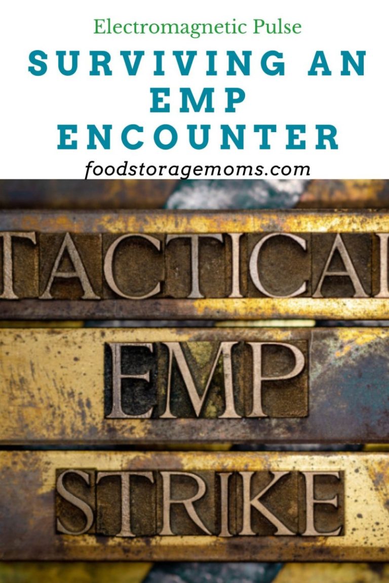 Surviving an EMP Encounter - Food Storage Moms