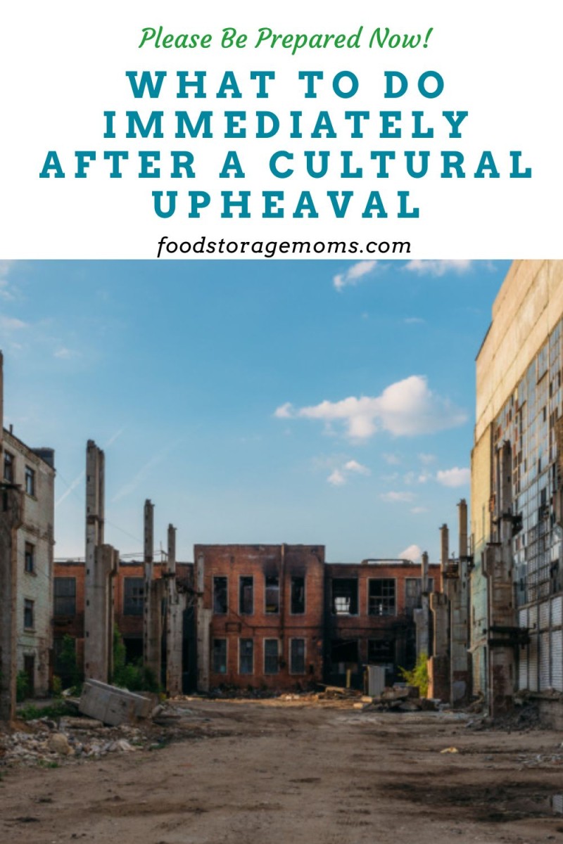 Daily Survival: What to Do IMMEDIATELY After A Cultural Upheaval