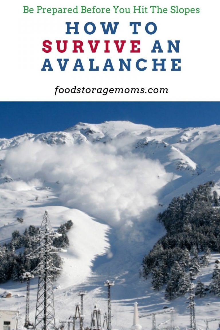 How to Survive an Avalanche - Food Storage Moms