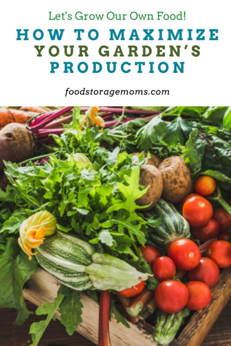 How to Maximize Your Garden’s Production - Food Storage Moms