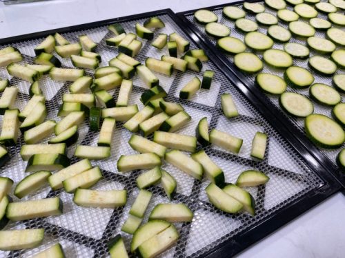 How To Dehydrate Zucchini-Sliced & Cubed - Food Storage Moms
