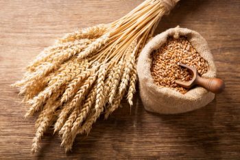 Wheat: What You May Not Know - Food Storage Moms