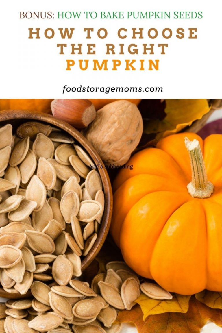 How To Choose The Right Pumpkin - Food Storage Moms