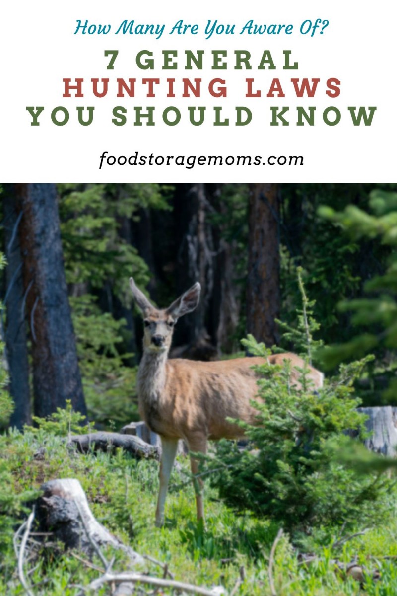 7 General Hunting Laws You Should Know - Food Storage Moms