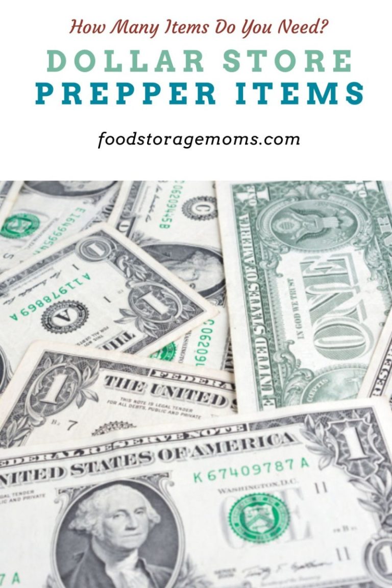 Dollar Store Prepper Items - Food Storage Moms