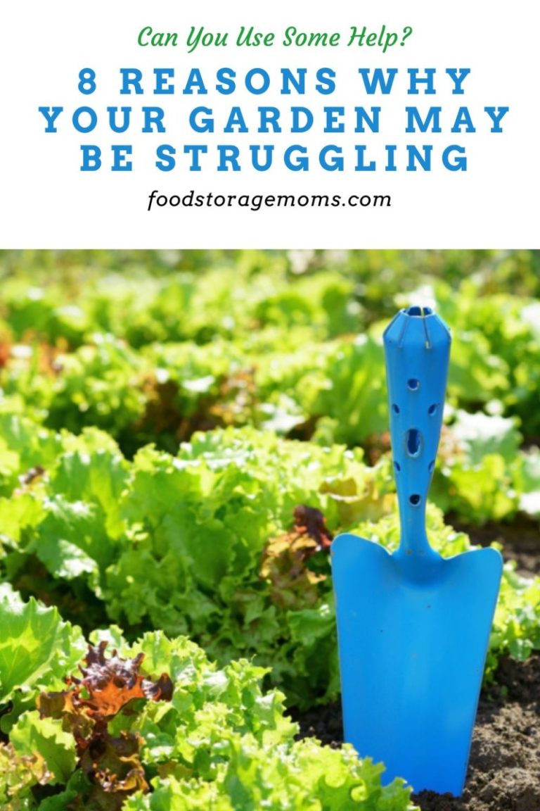 8 Reasons Why Your Garden May Be Struggling - Food Storage Moms