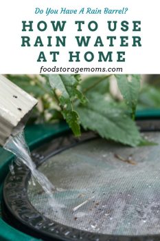 How to Use Rain Water at Home - Food Storage Moms