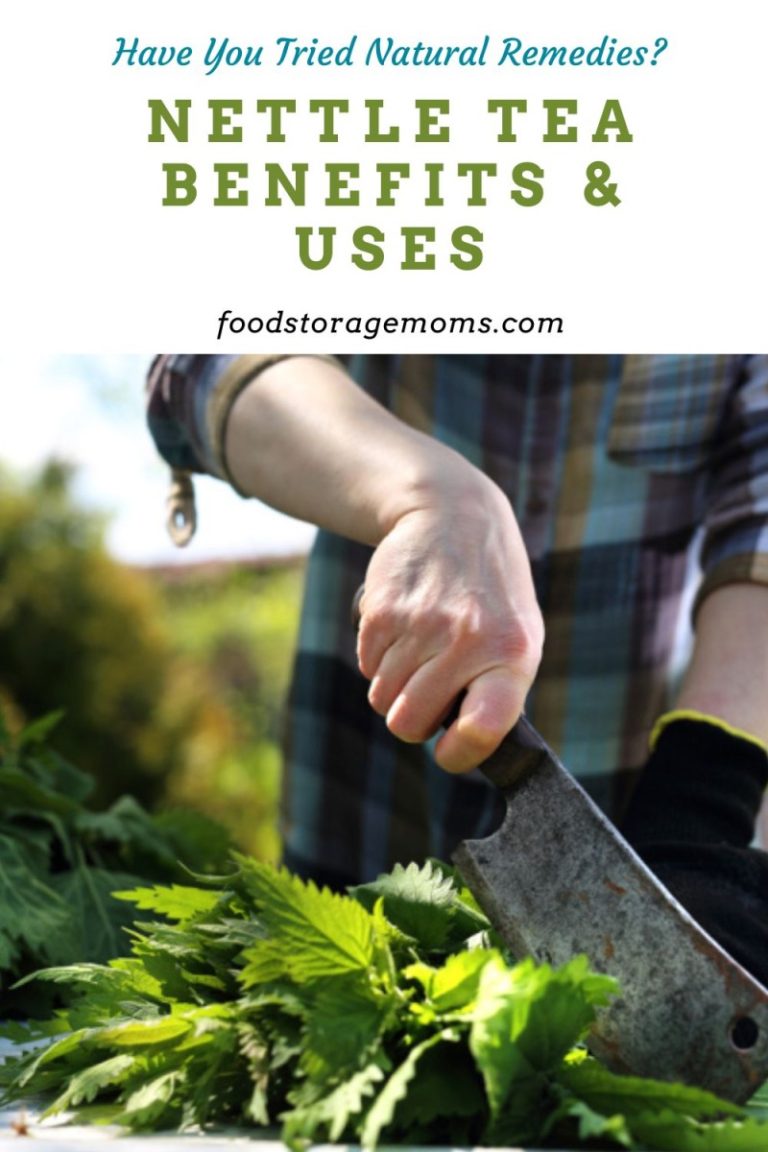 Nettle Tea Benefits & Uses - Food Storage Moms