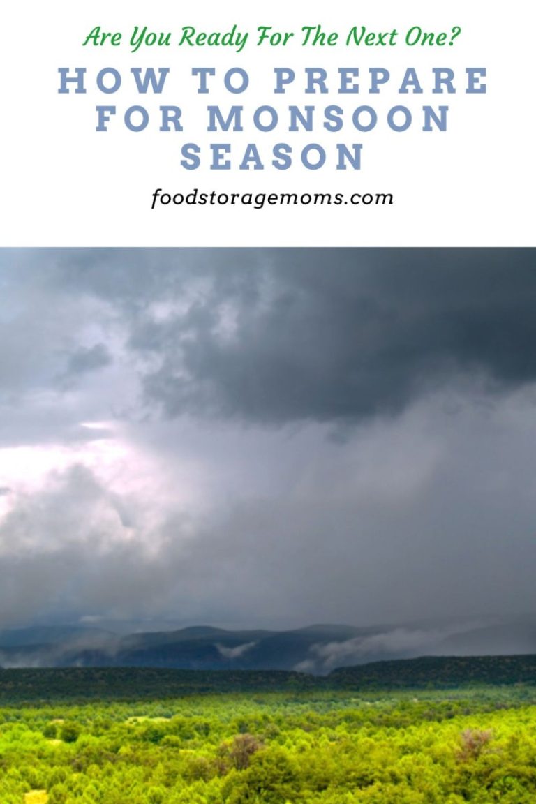 How to Prepare for Monsoon Season - Food Storage Moms