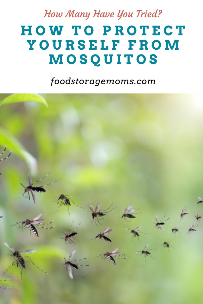 How to Protect Yourself From Mosquitos - Food Storage Moms