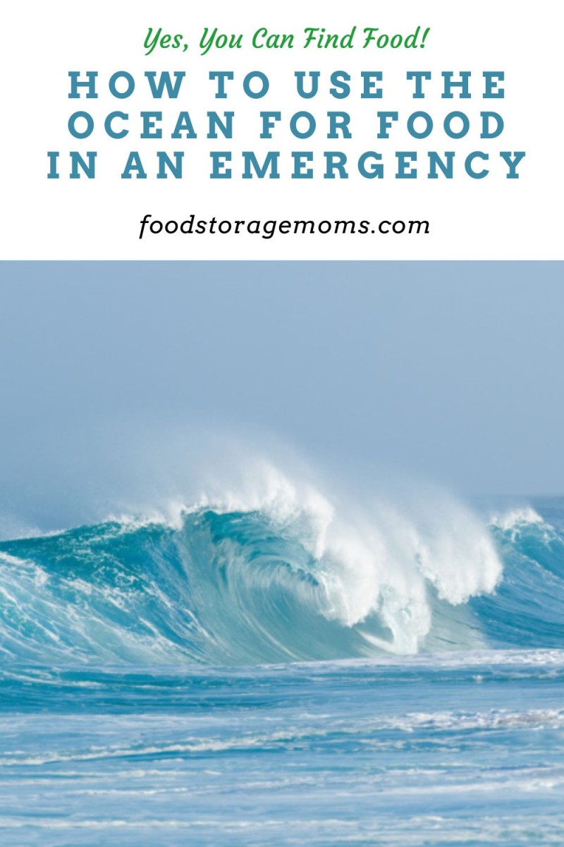 How to Use the Ocean for Food in an Emergency - Food Storage Moms