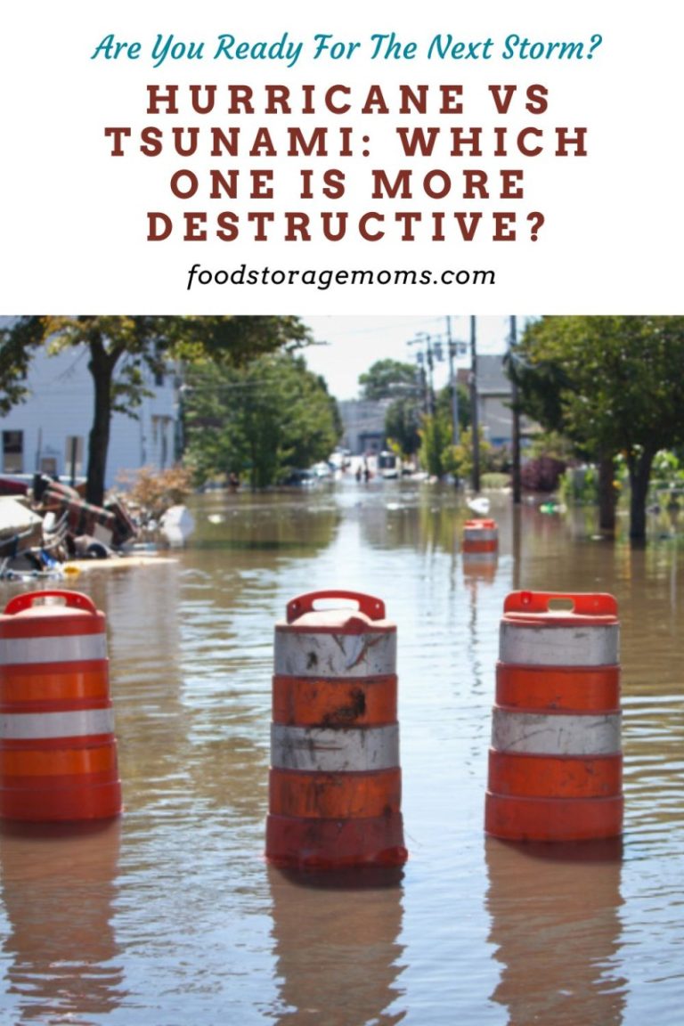 Daily Survival: Hurricane vs Tsunami: Which One is More Destructive?