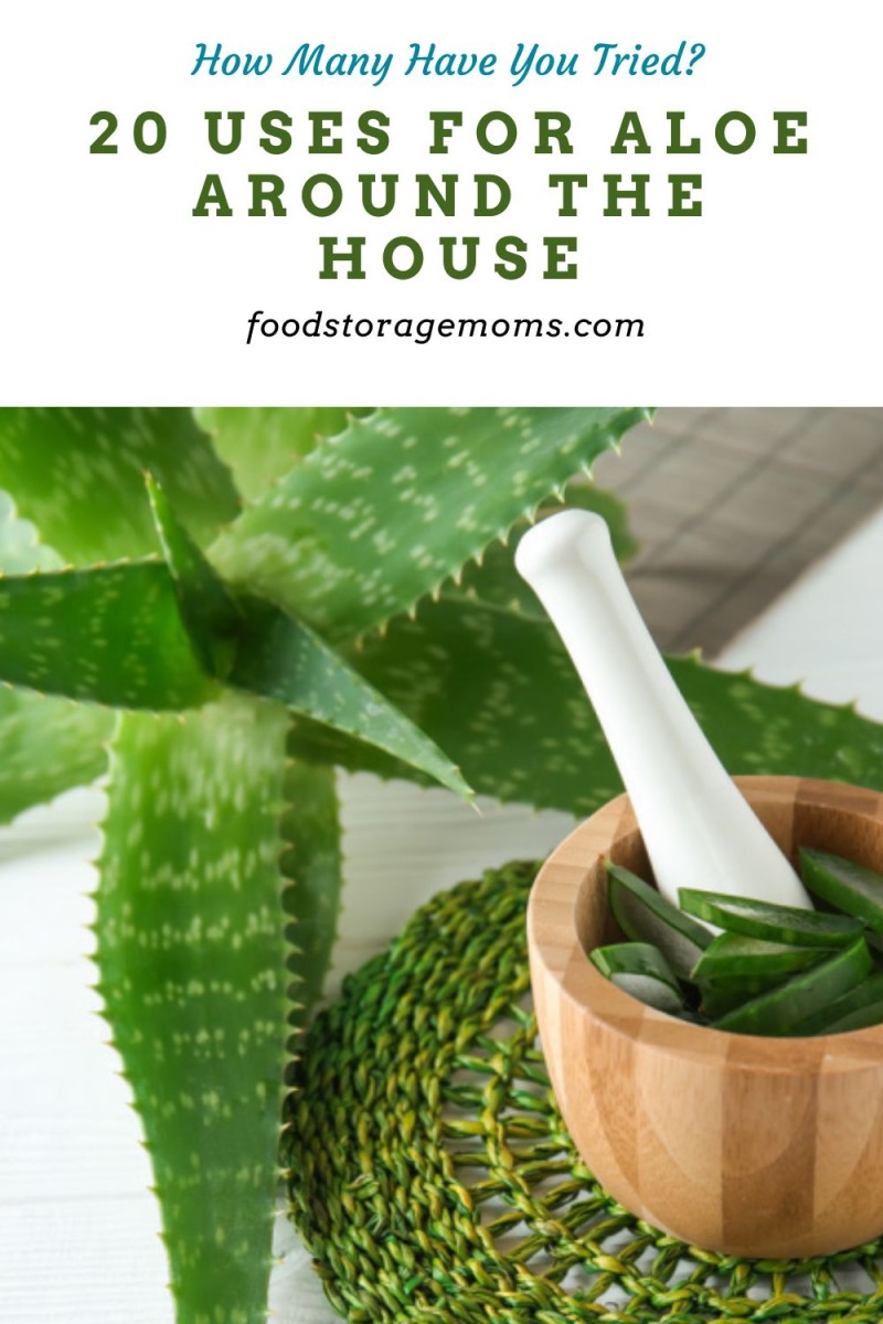 20 Uses for Aloe Around the House - Food Storage Moms