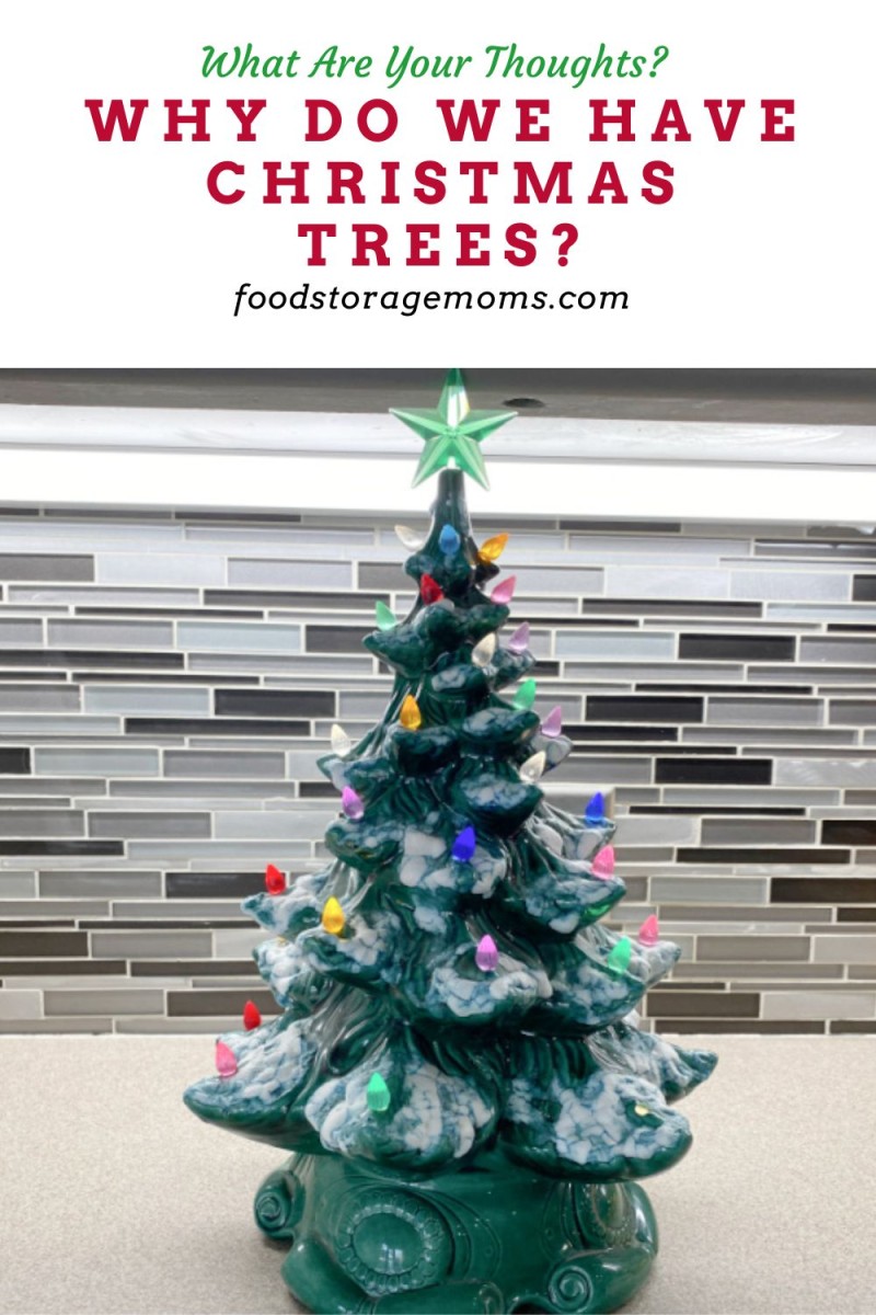 Daily Survival: Why Do We Have Christmas Trees?