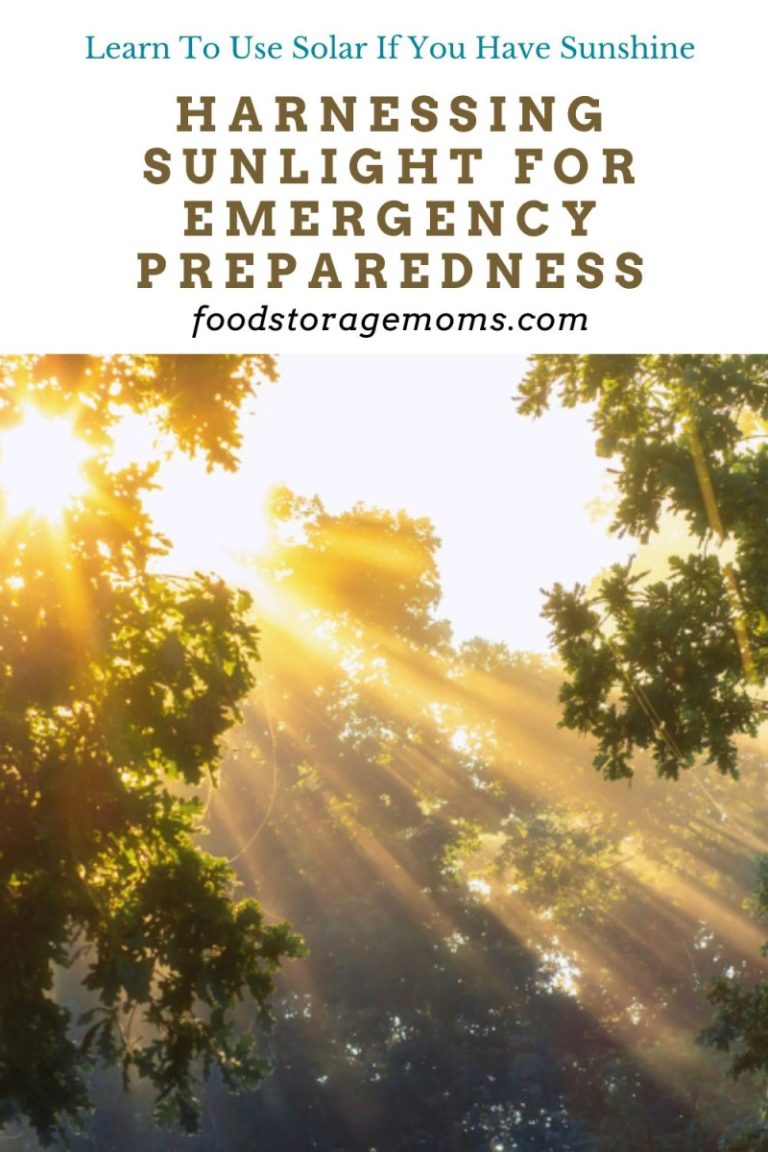 Harnessing Sunlight for Emergency Preparedness - Food Storage Moms