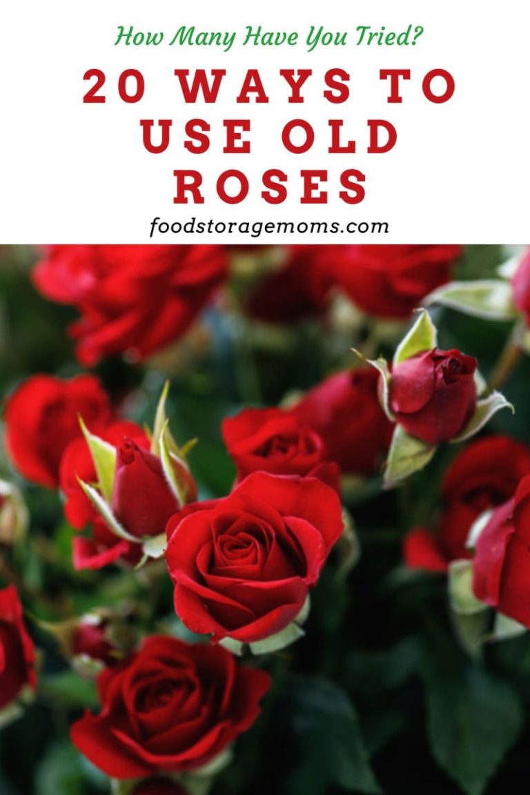 20 Ways to Use Old Roses - Food Storage Moms