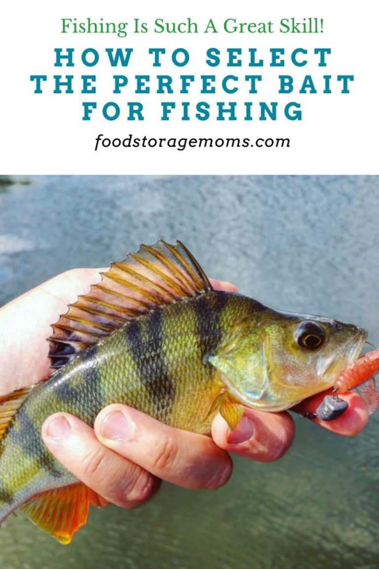 How to Select the Perfect Bait for Fishing - Food Storage Moms