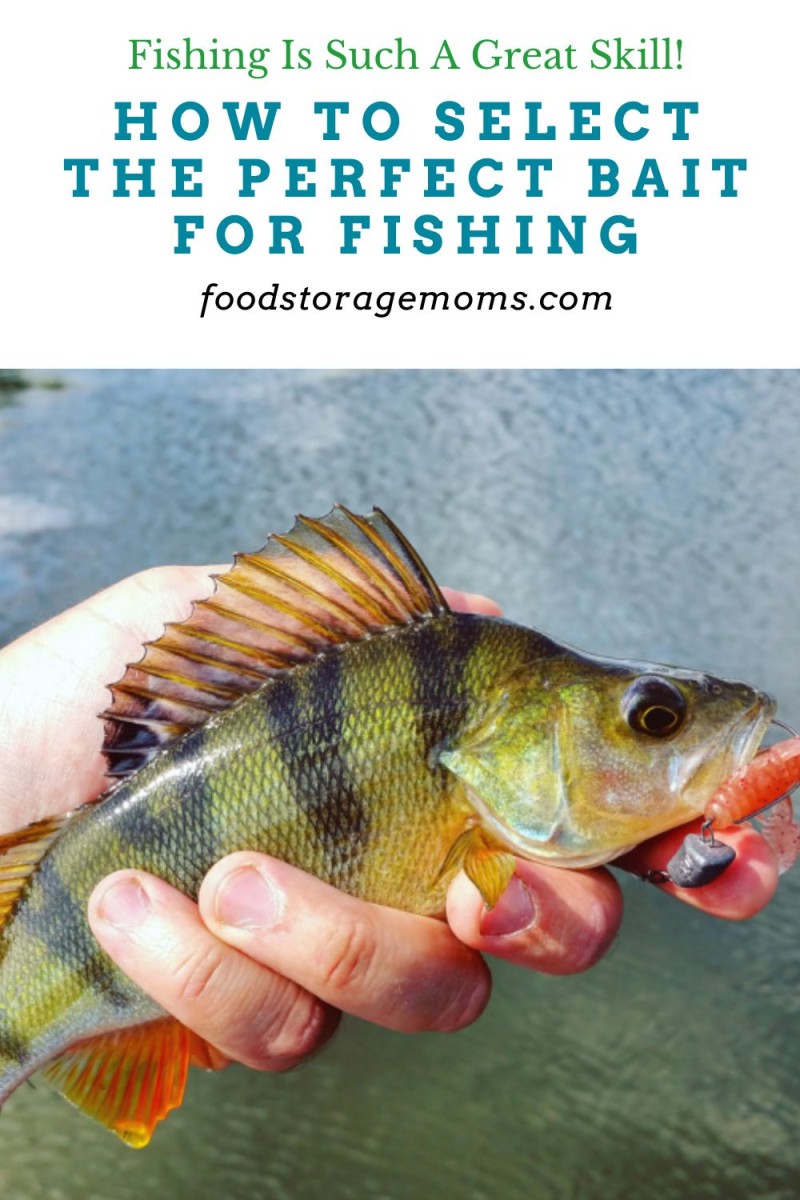 How to Select the Perfect Bait for Fishing - Food Storage Moms