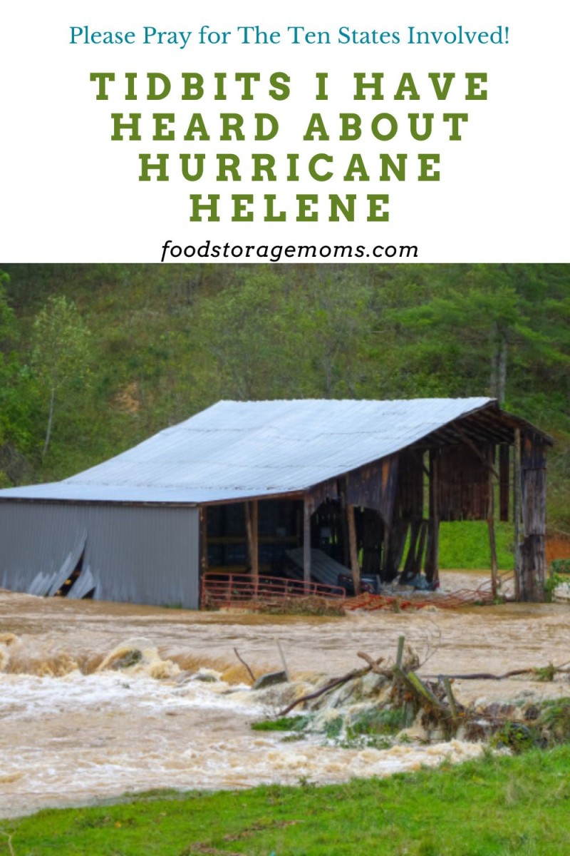 Tidbits I Have Heard About Hurricane Helene - Food Storage Moms