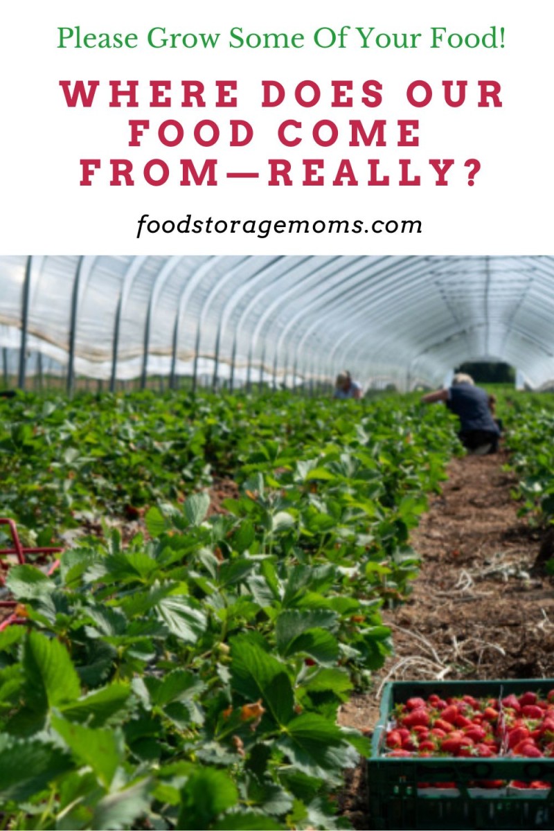 Where Does Our Food Come From, Really? - Food Storage Moms
