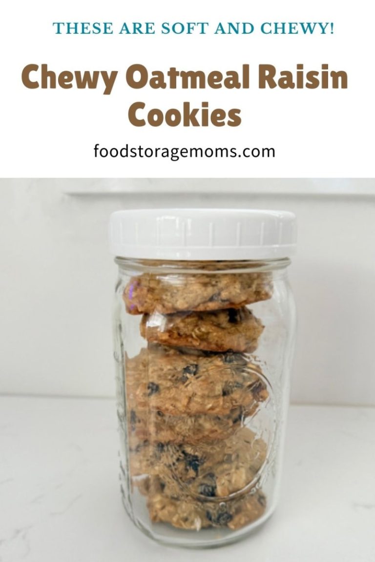 Chewy Oatmeal Raisin Cookies - Food Storage Moms