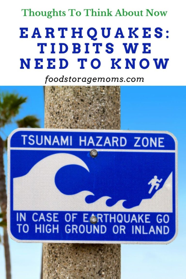 Earthquakes: Tidbits We Need to Know - Food Storage Moms